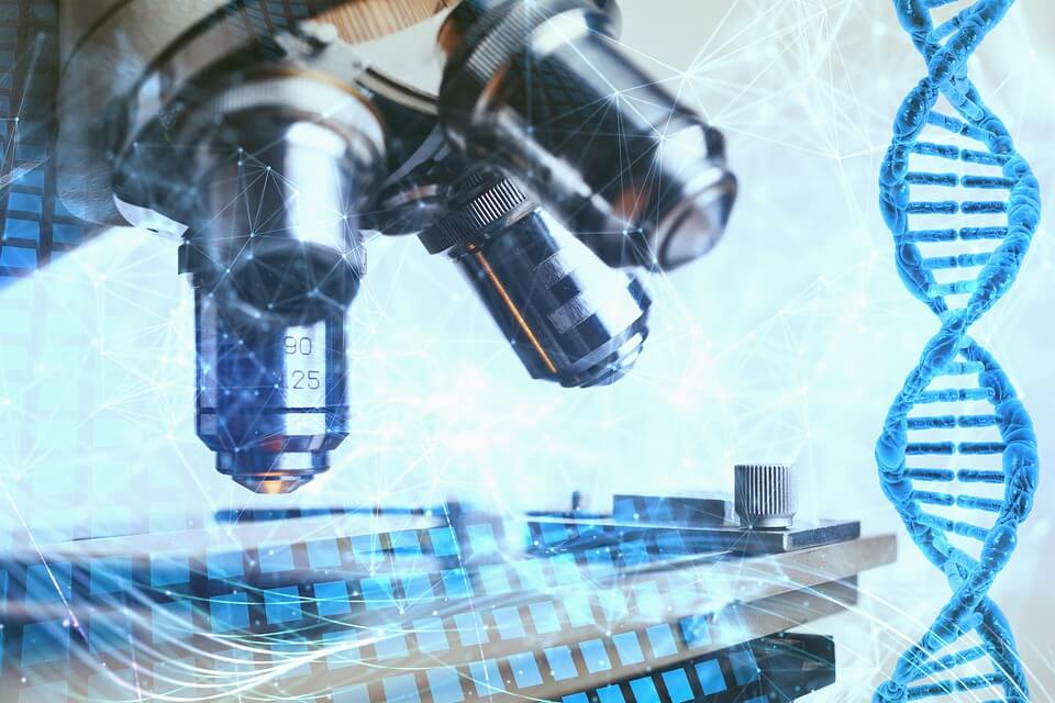 Game Changer in Cancer - The Biotech Gold List for 2024! MorphoSys ...