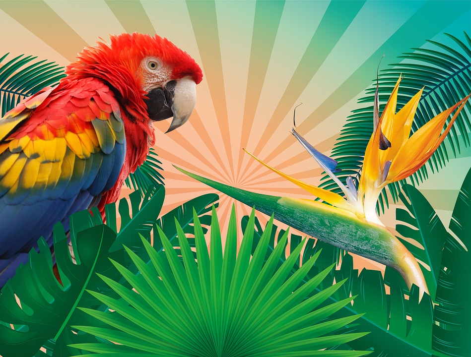 Mega rally in 2026 with artificial intelligence, chips, and storage ...