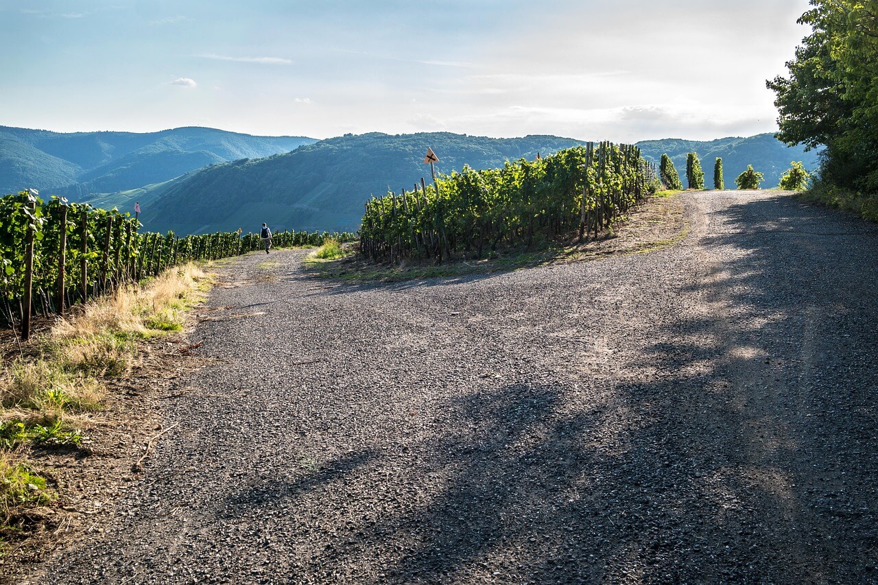 Plug Power, First Phosphate, BASF - Turnaround in sight